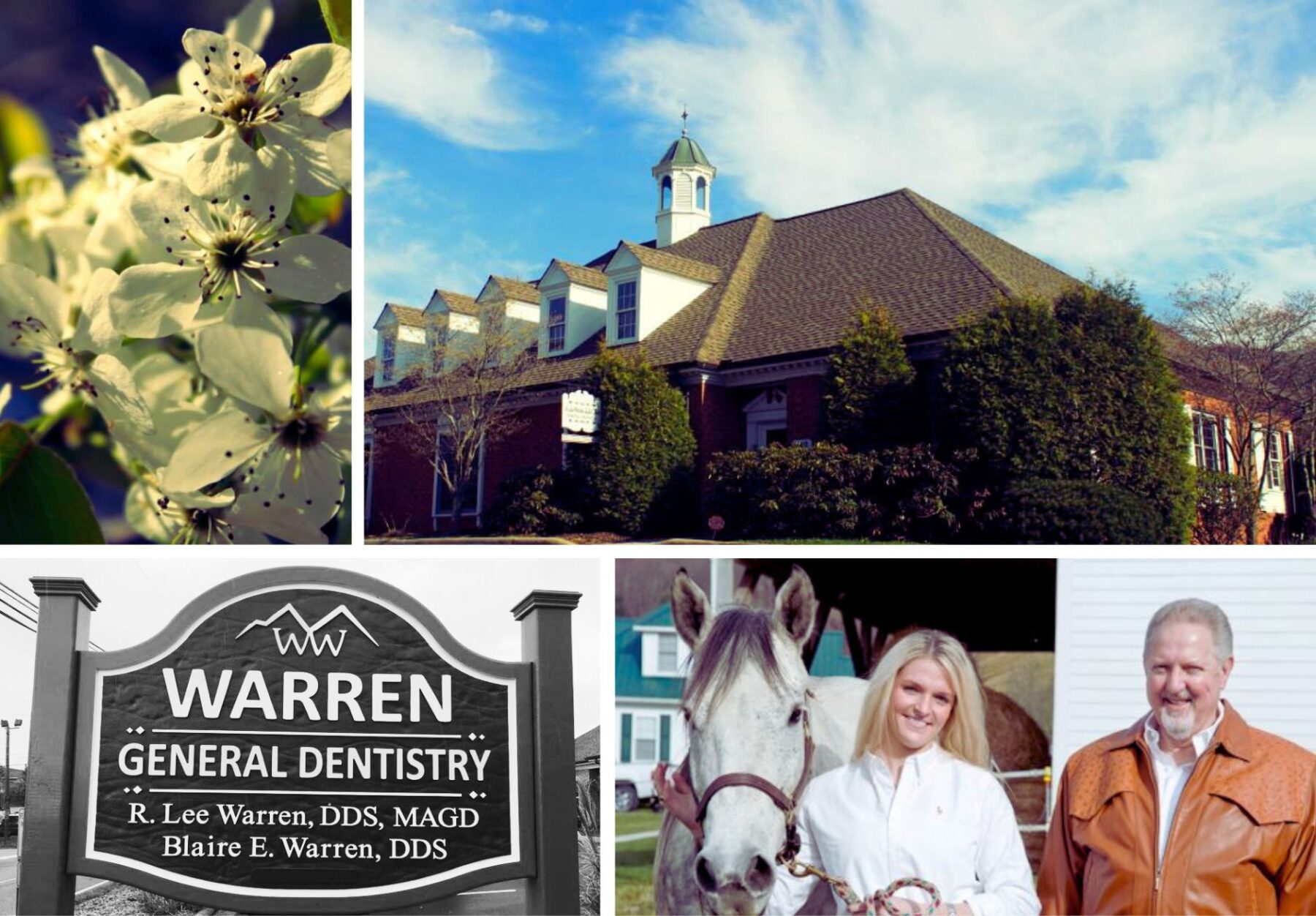 About The Boone, NC Dental Office of Blaire E. Warren, D.D.S.